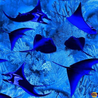 Jewels of the Sea: Stingray Dance Cobalt -- Michael Miller Fabrics ...