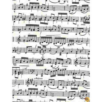 Music: Staff Lines and Notes Cream - Timeless Treasures music-c1693 cream